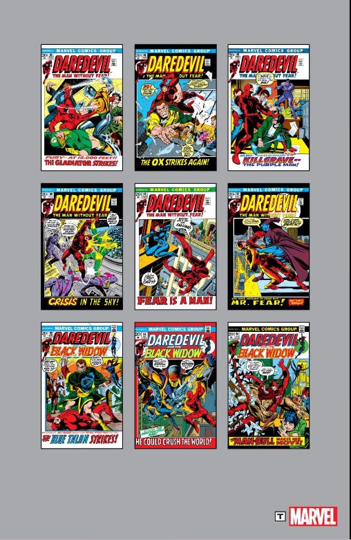 Daredevil Marvel Masterworks volume 9 – Now Read This!