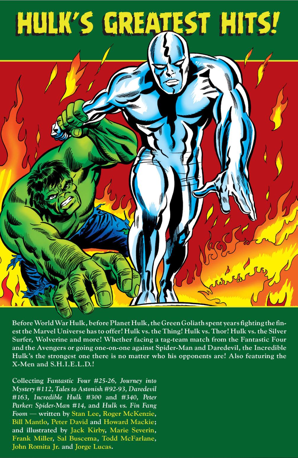 Incredible Hulk: Hulk Vs. The Marvel Universe – Now Read This!